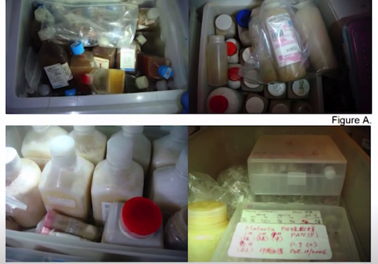 Why Was A Secret Chinese Lab In California Stockpiling Nightmarish ...